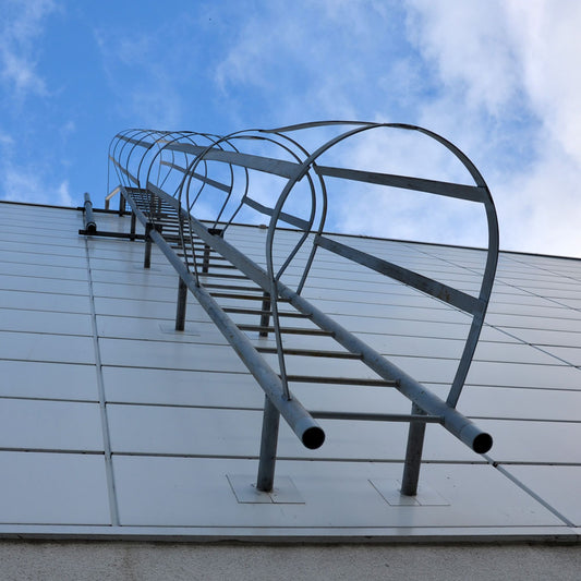 Roof ladder and crinoline